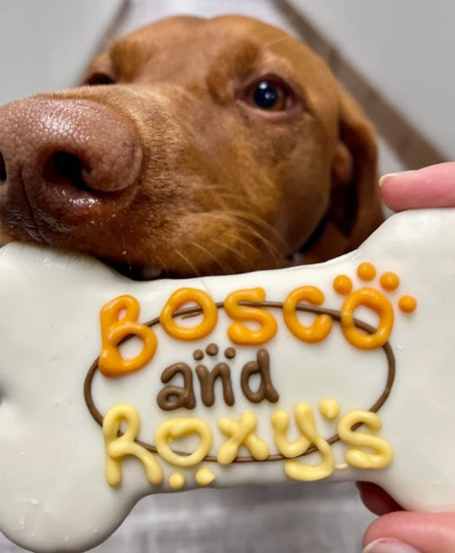 A little about Bosco and Roxy's - Bosco and Roxy's Inc.