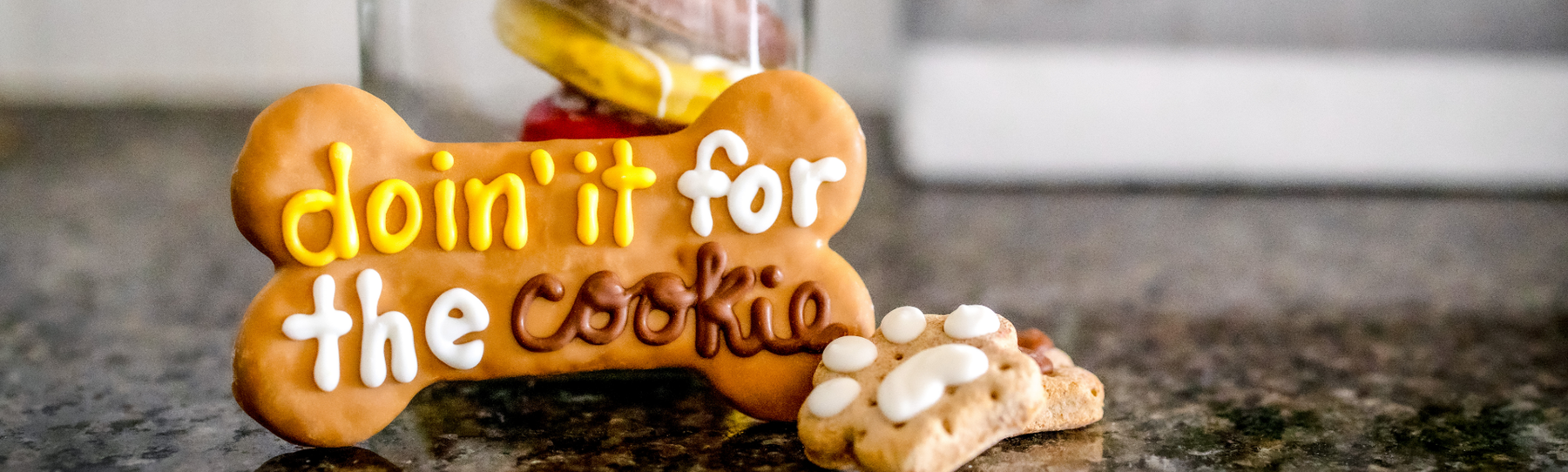 Cookie Carousel | Birthday Gifts for Dogs | Bosco and Roxy's Gourmet ...